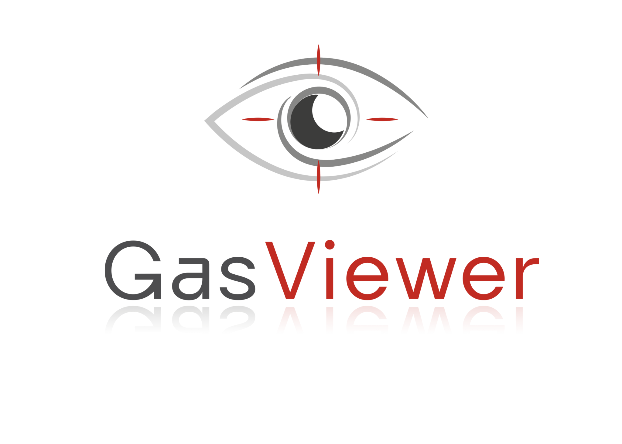 Products Gas Viewer - OG TECH